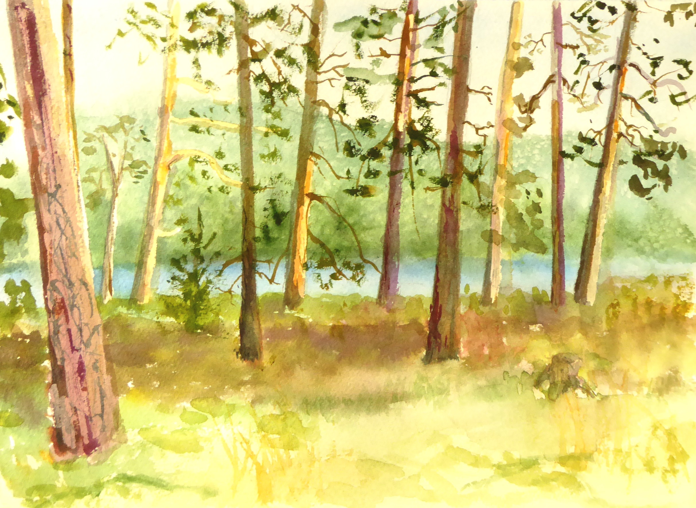 Kursbilder - Akvarellcenter